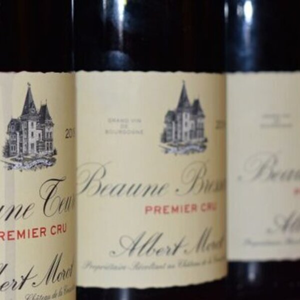 【Albert Morot垂直テイスティング】 Albert Morot~ボーヌの1級畑を7つも所有するボーヌを知るうえで欠かせない造り手 ...